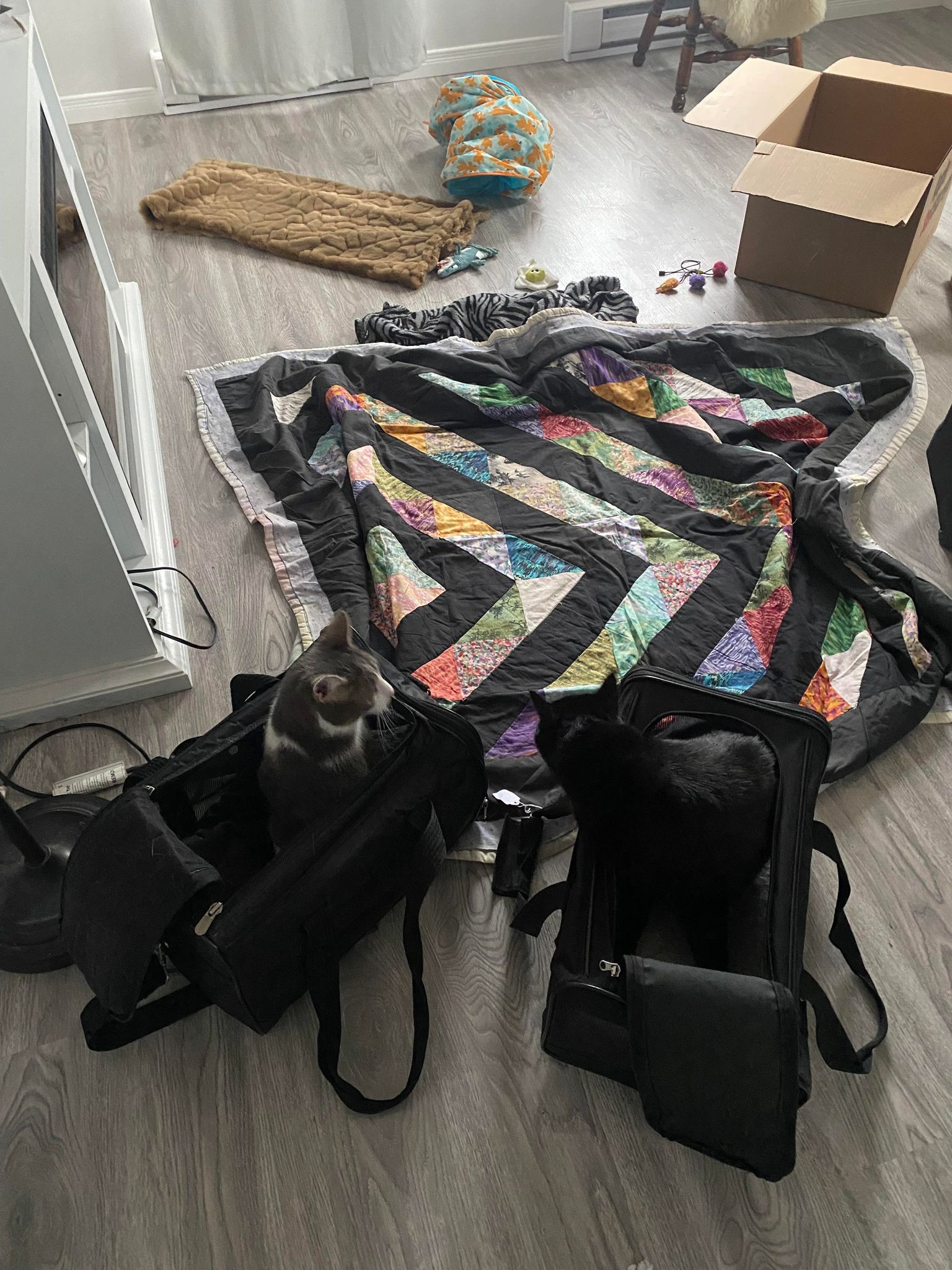 Moving house! – BRAIN STATIC