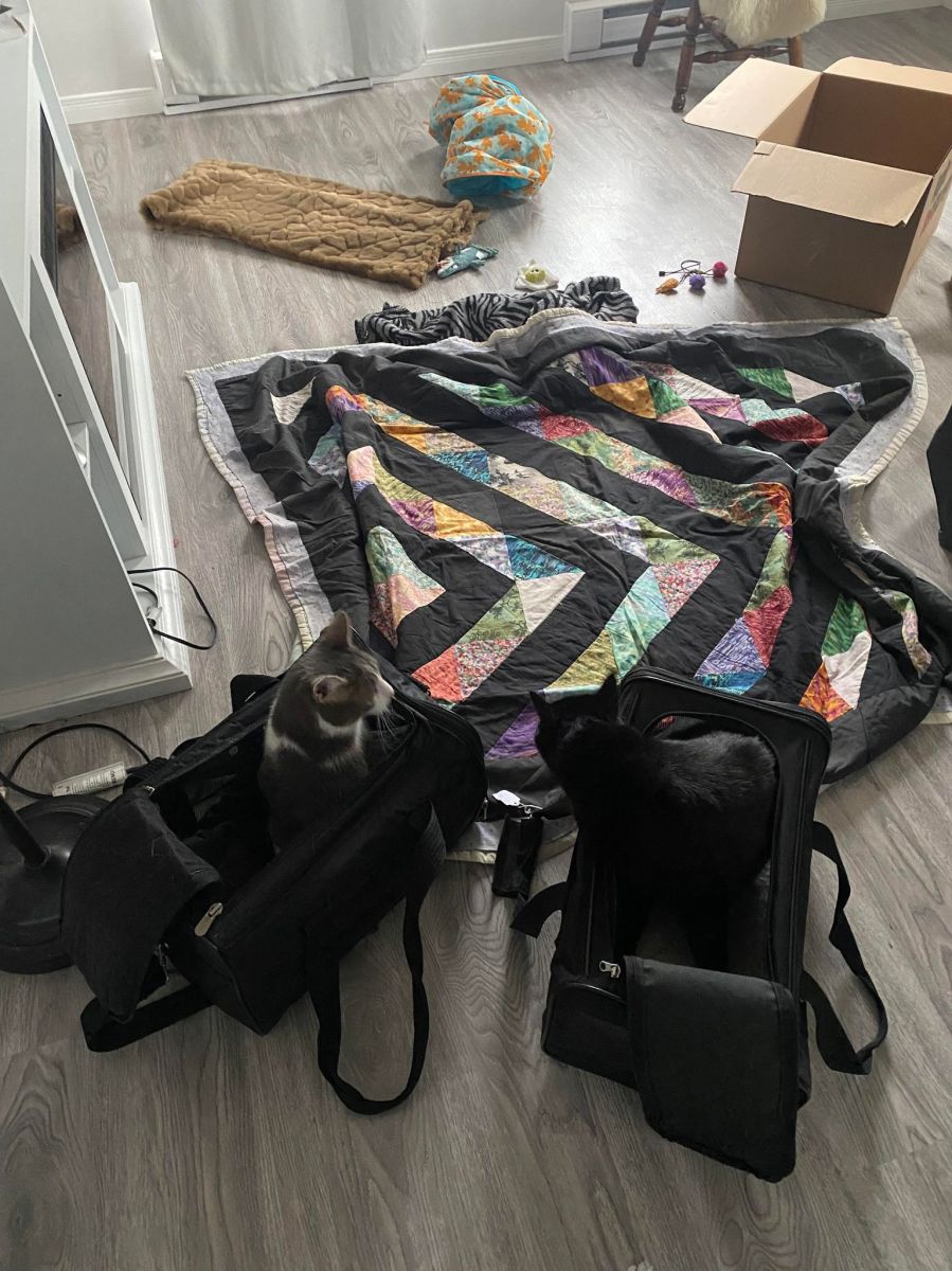 Moving house! – BRAIN STATIC